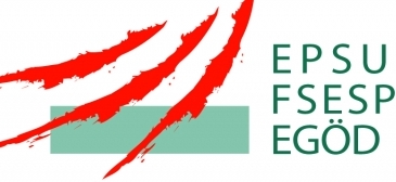 Maltepe işçileri için uluslararası dayanışma – DİSK